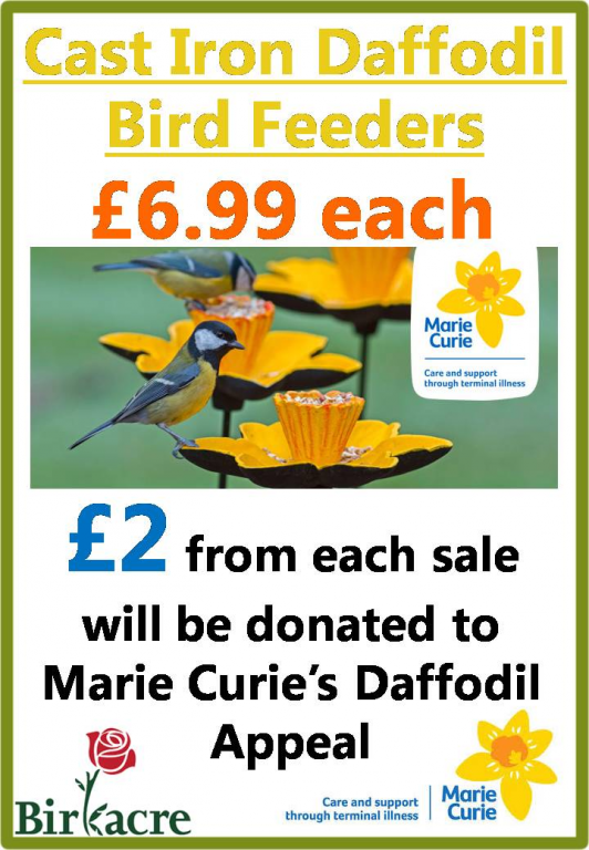 Marie Curie's Great Daffodil Appeal 2017 - Birkacre Garden Centre Marie Curie's Great Daffodil Appeal 2017 - Birkacre Garden Centre